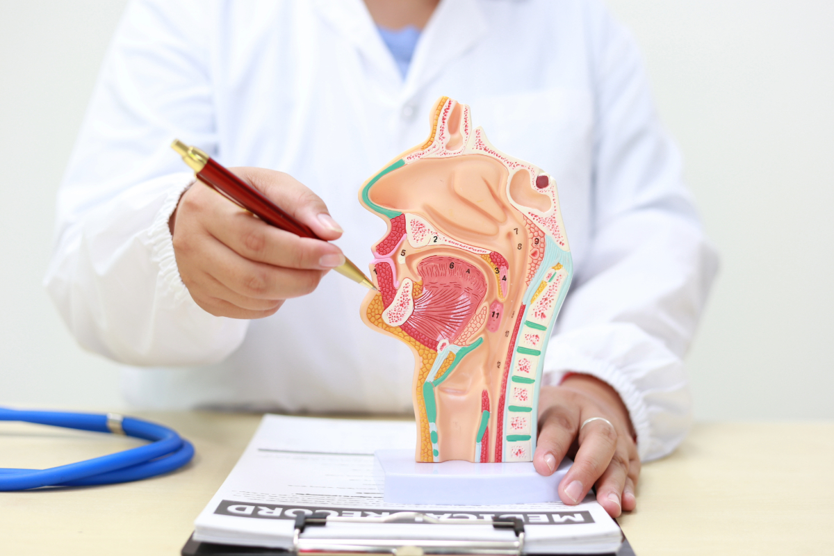 Tout savoir sur le cancer du nez, de la bouche et de la gorge - Doqi.fr