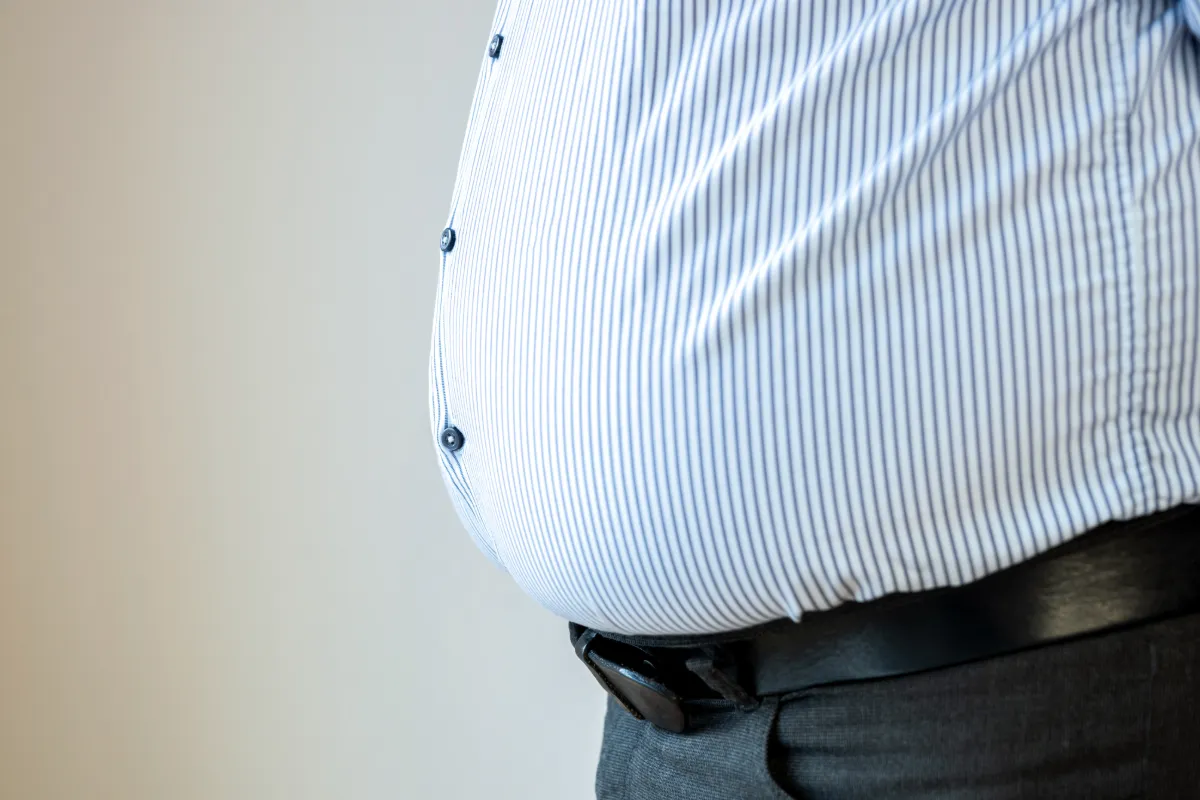 Obésité : comprendre les causes, risques et solutions pour une ...